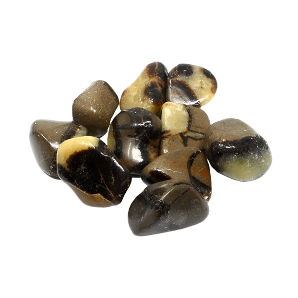 Septarian Tumbled - Madame Meerkat's Cabinet of Curiosities